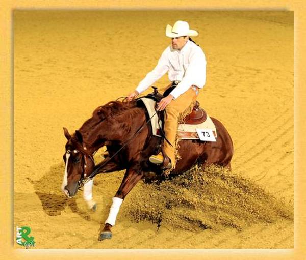 [ Spiegler-Ranch --- Aus Freude am Westernreiten ]